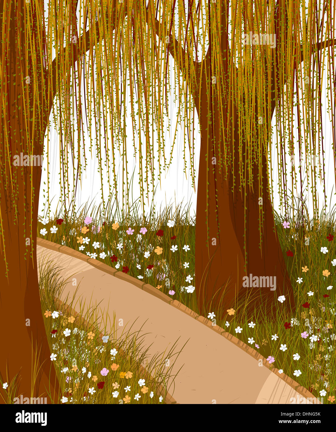 Willow forest background Stock Photo - Alamy