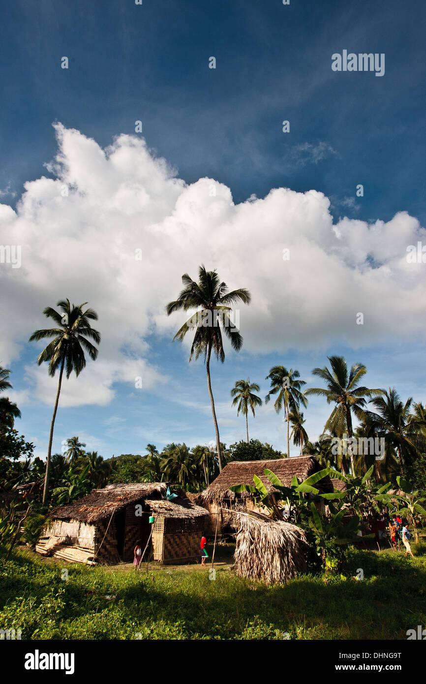 Leaf-roofed homes are surrounded by palm trees on the island of Samar ...