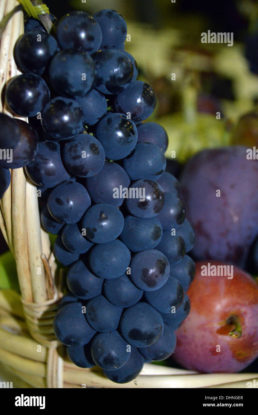 Close up of the Handle of the Trug on Display with Black Grapes & Mixed ...
