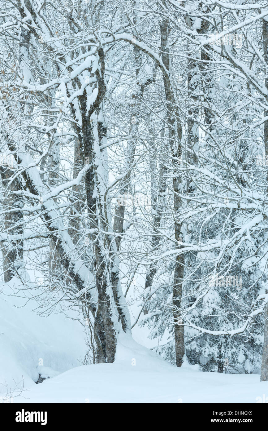 Misty and dull hi-res stock photography and images - Alamy