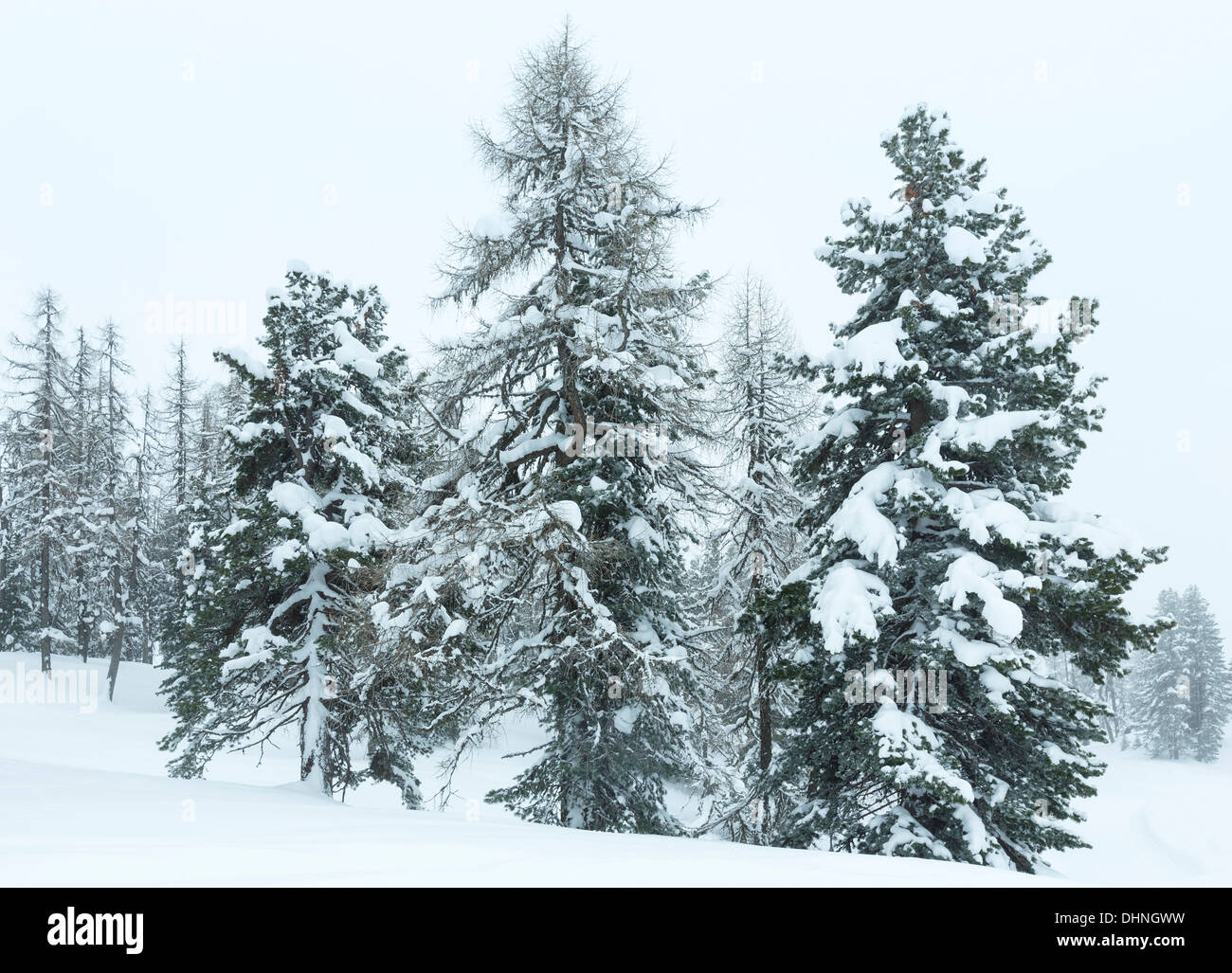 Winter mountain foggy dull day snowy landscape Stock Photo - Alamy