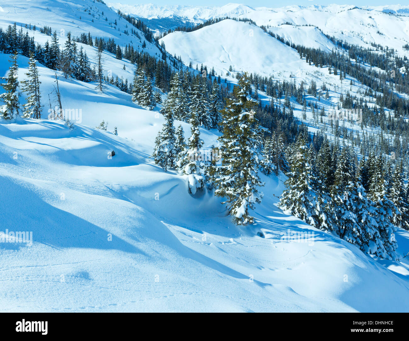 Winter mountain landscape with snowy spruce trees on slope(Hochkoenig ...