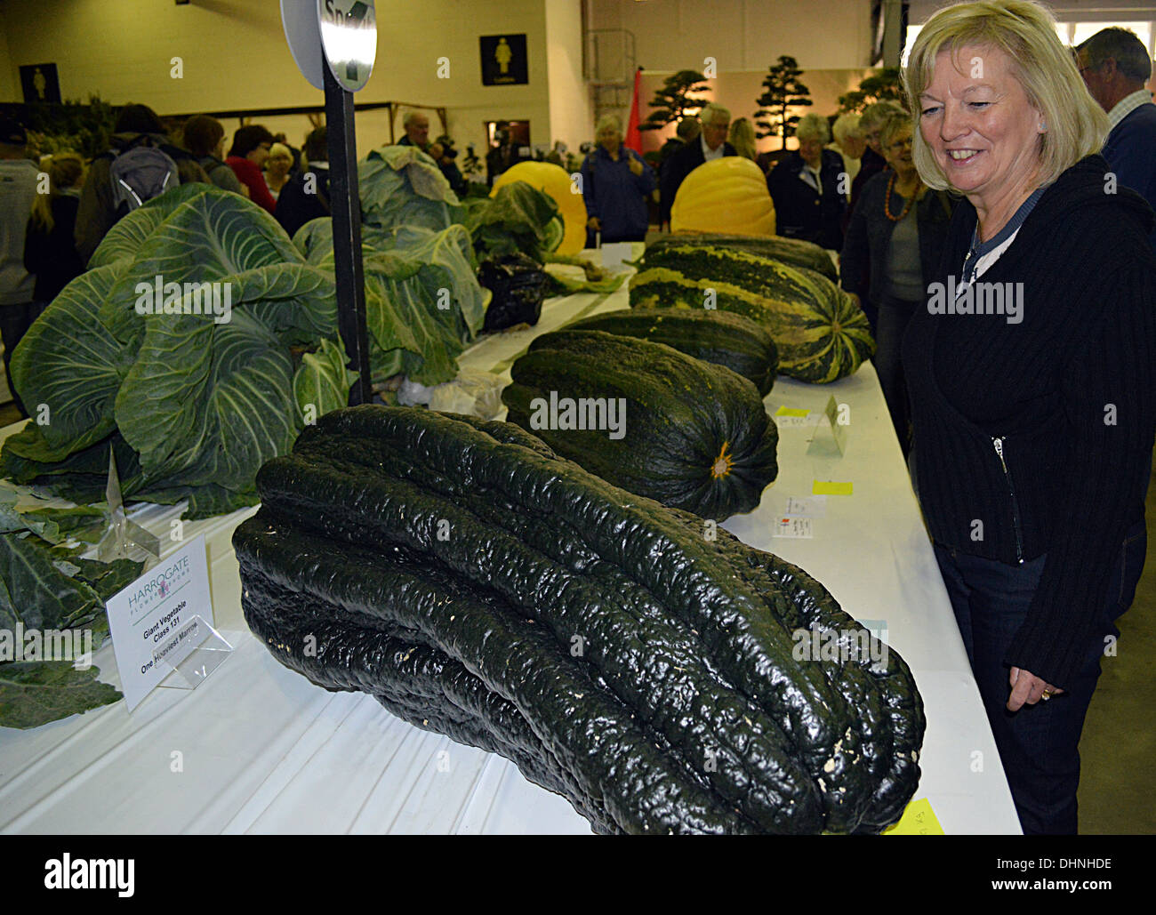 A Lady Looking at a Prize Winning Marrow at the Giant Vegetable Display ...
