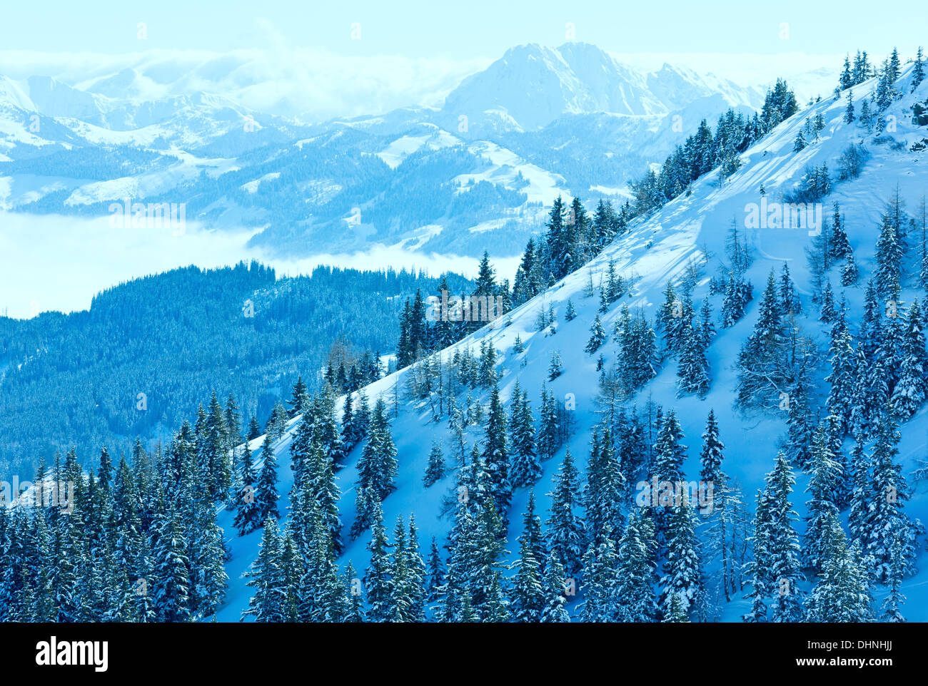 Winter mountain landscape with snowy spruce trees on slope (Hochkoenig ...
