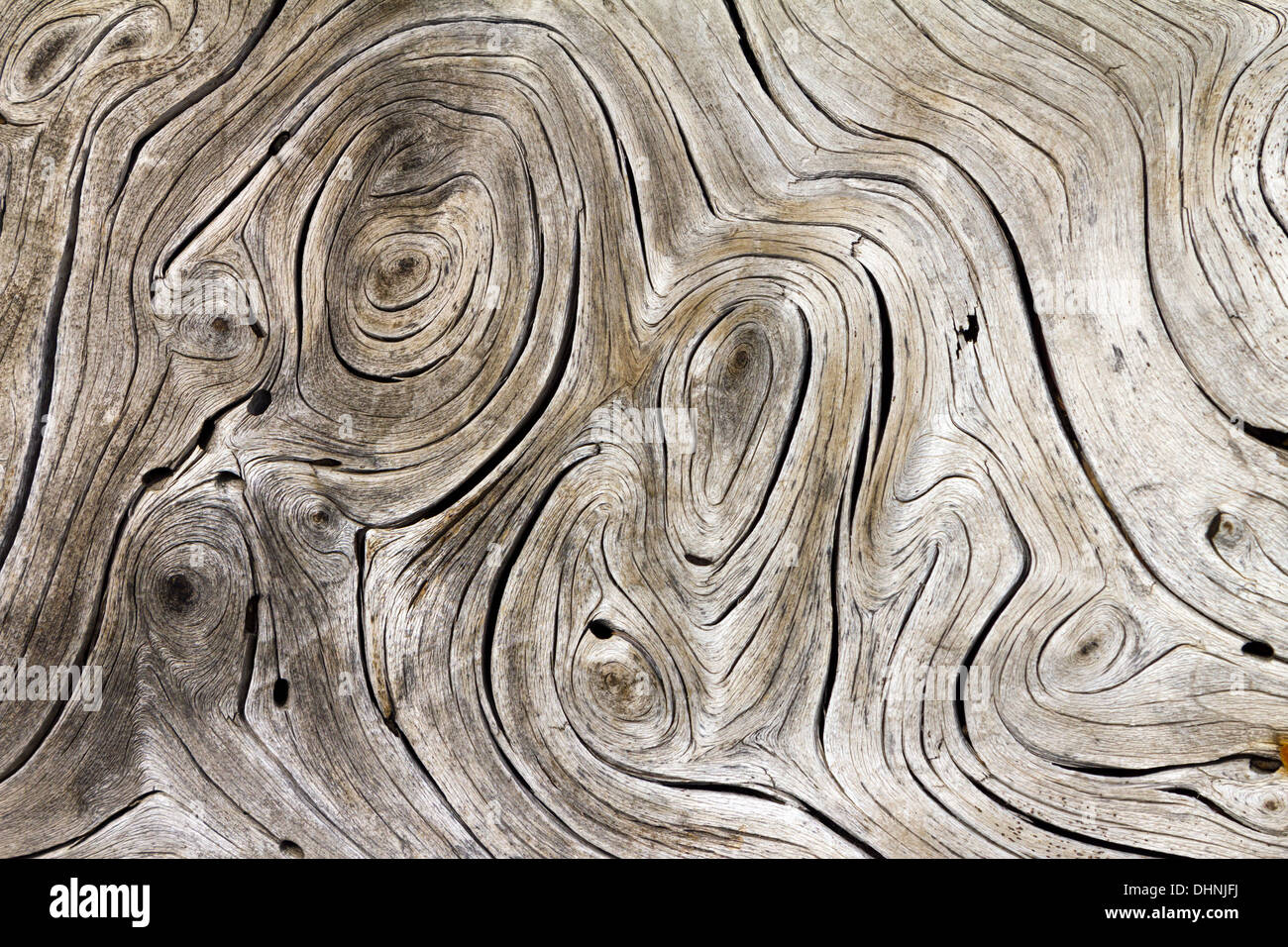 Organic Wood Texture