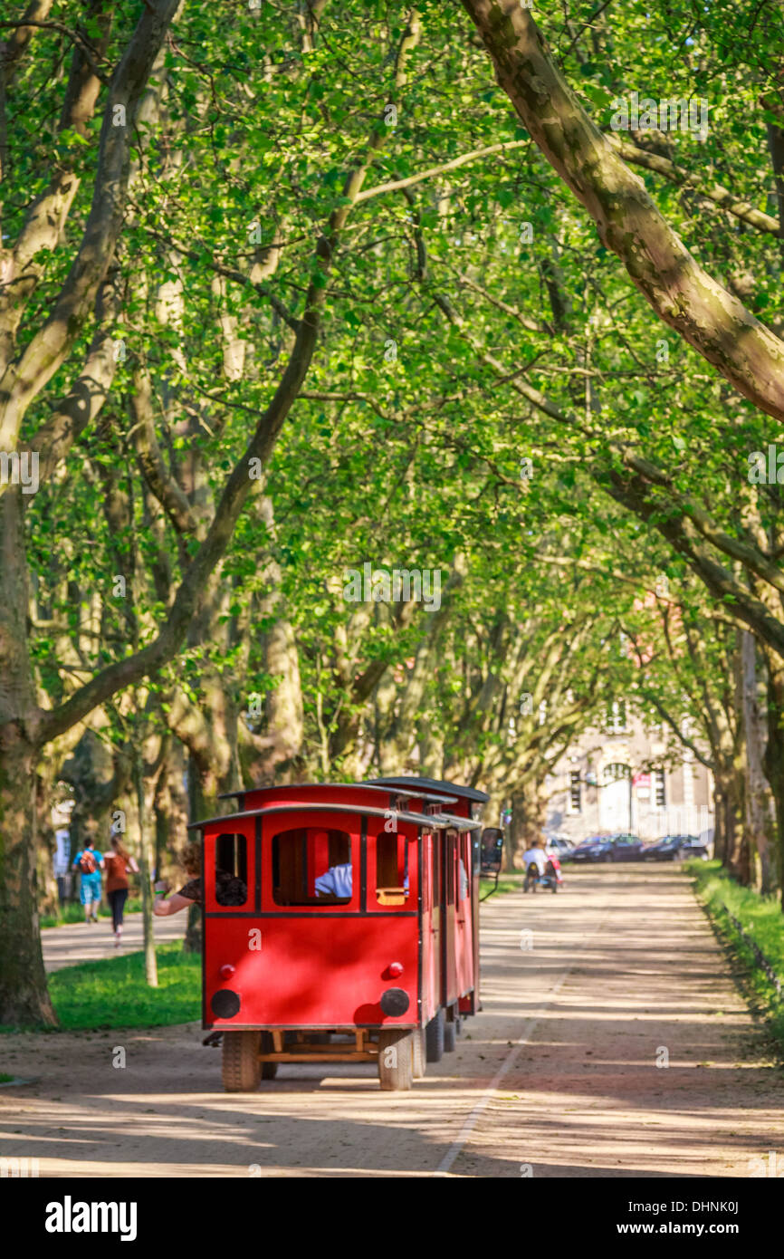 Train in a tunnel of trees Stock Photo - Alamy