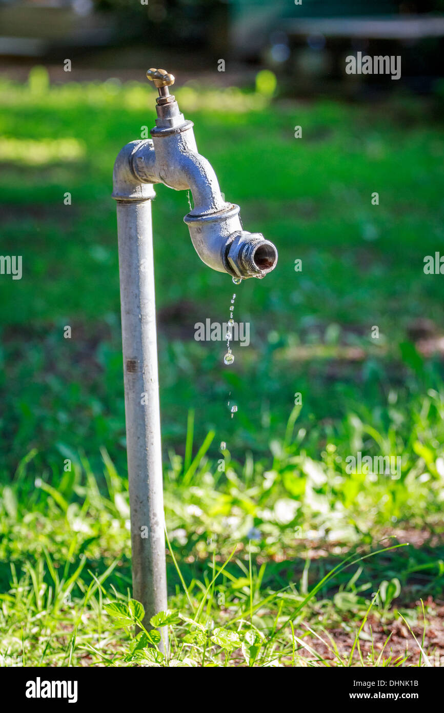 Metal tap dripping water drops Stock Photo - Alamy