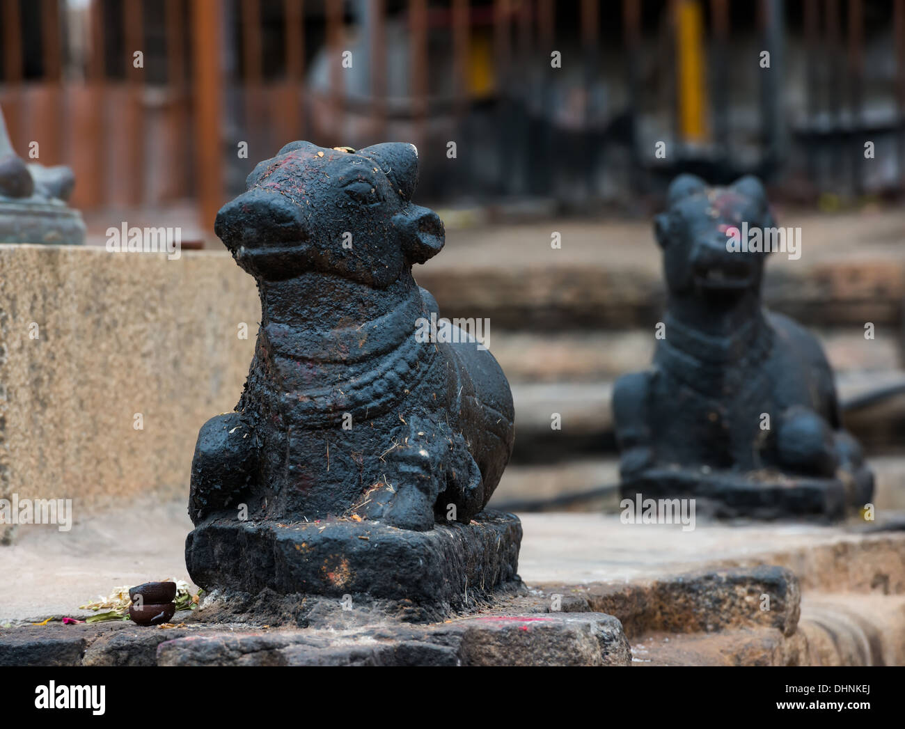 ancient sculpture of the Indian cow, Brihadishvara Temple, Tanjavur ...