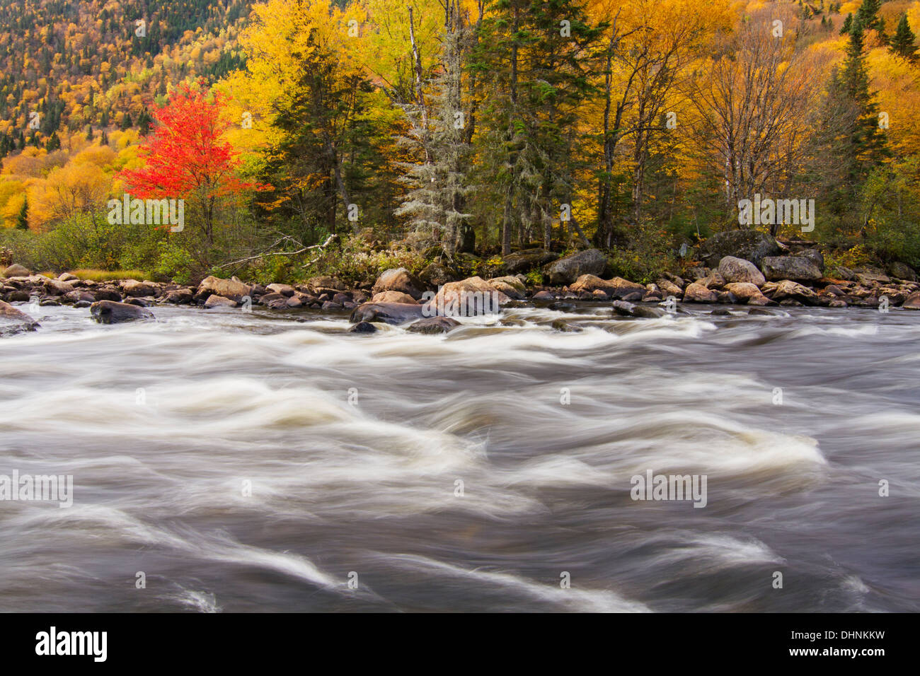 Canadian autumn landscape with beautiful mountain river in Jacques ...