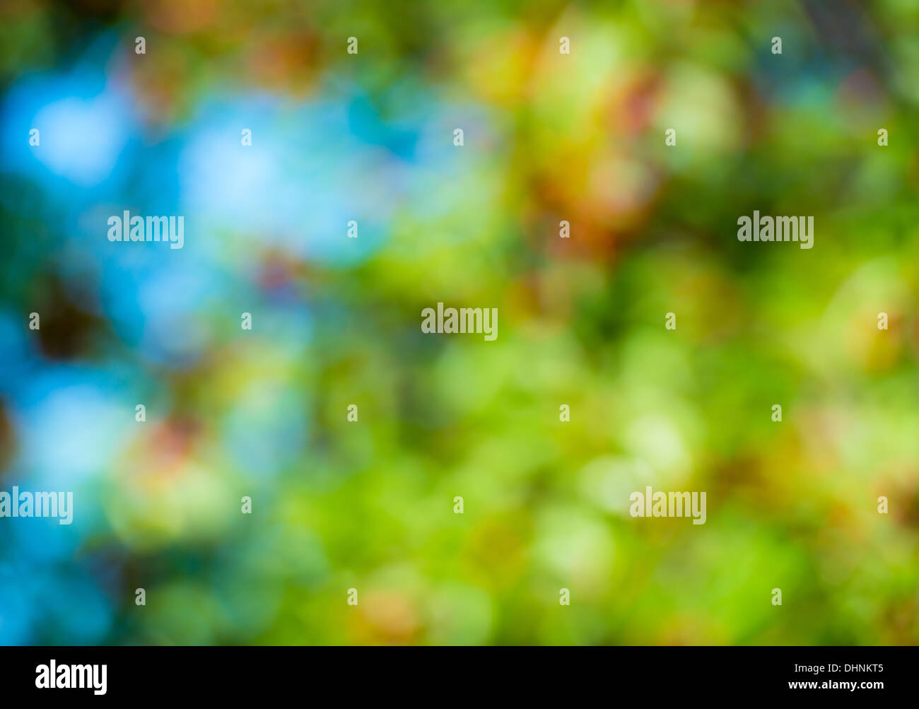 natural spring bokeh green and blue color background Stock Photo - Alamy