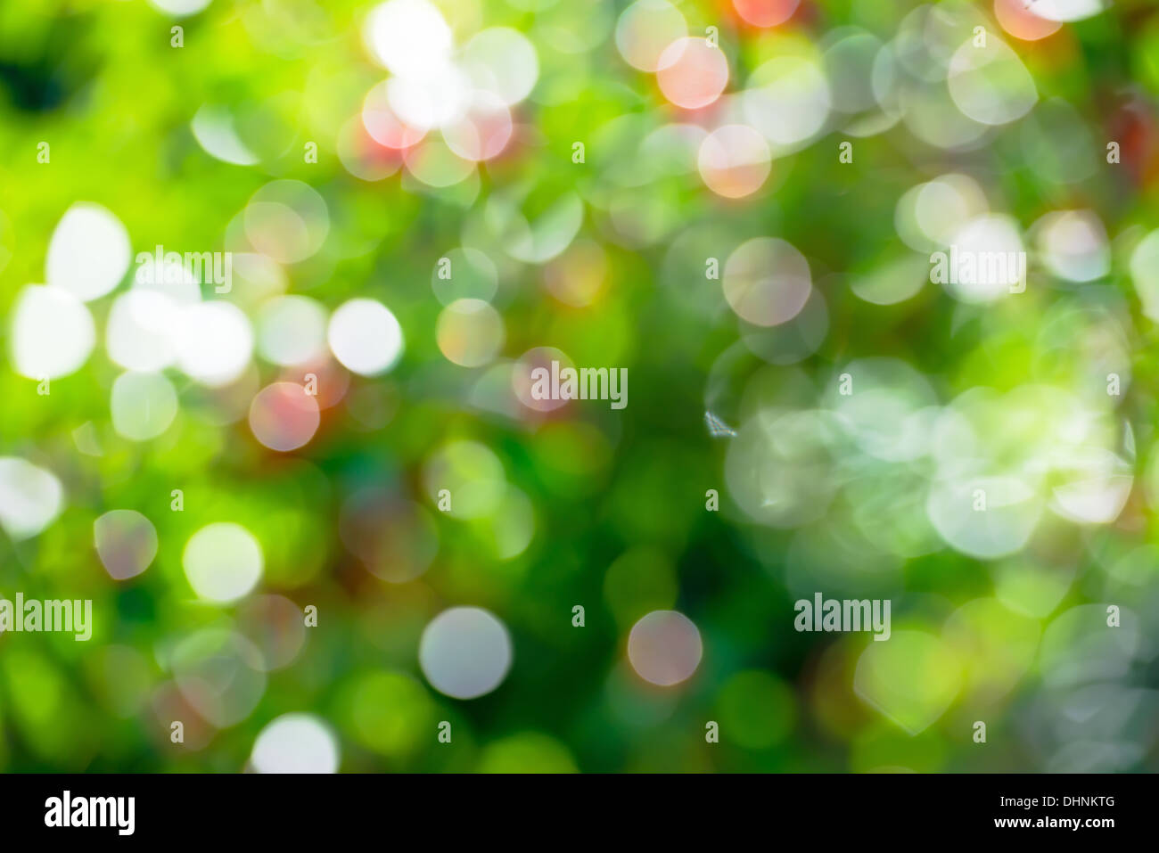 natural spring bokeh green color, background Stock Photo - Alamy