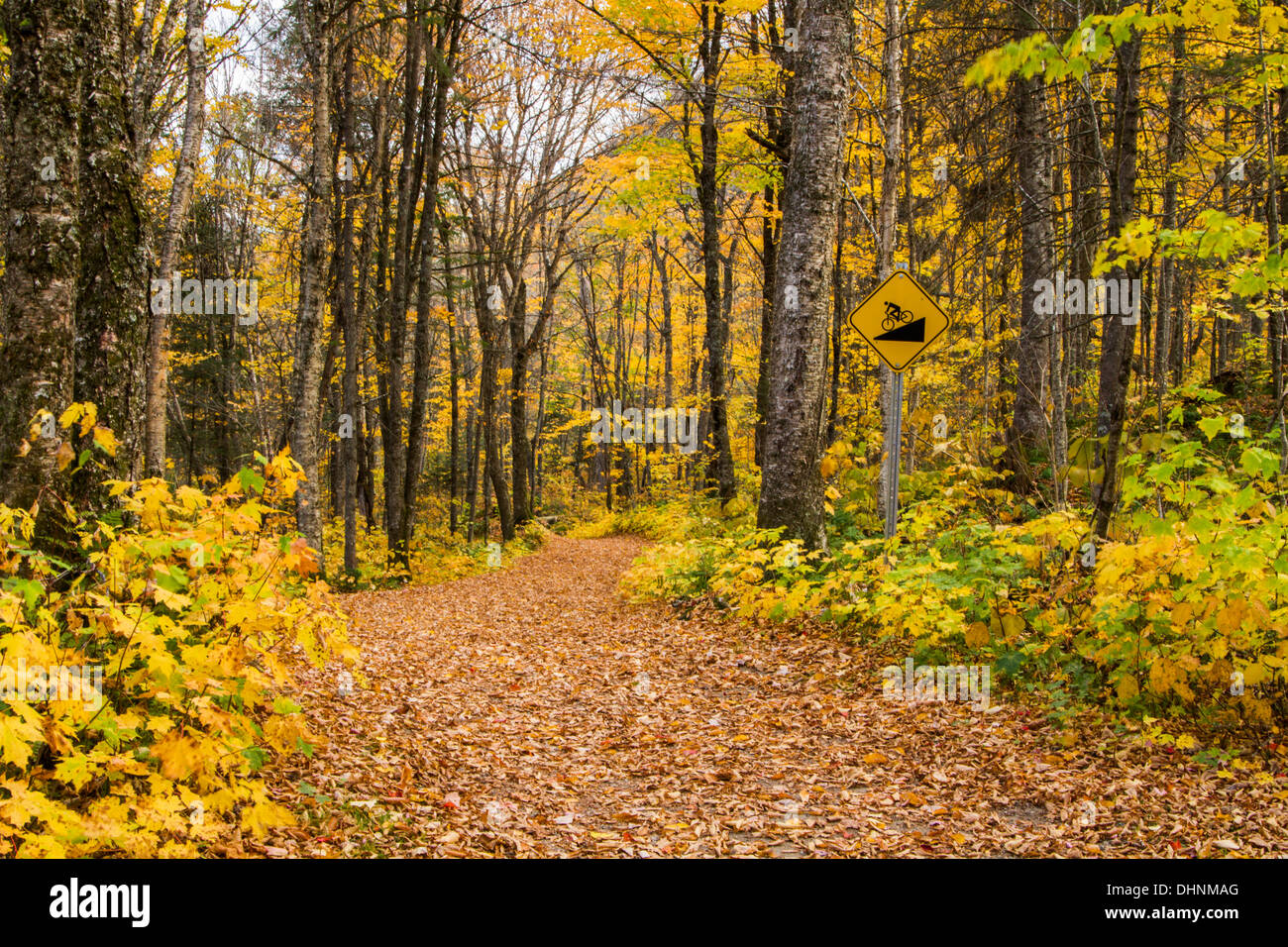 Bike trail in natural park hi-res stock photography and images - Alamy