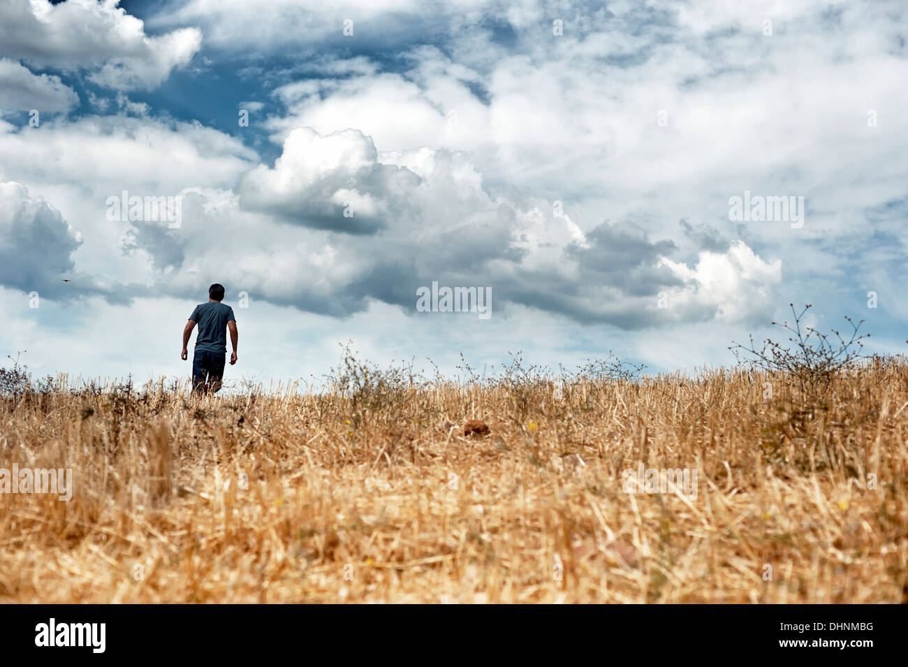 Man walking field hi-res stock photography and images - Alamy
