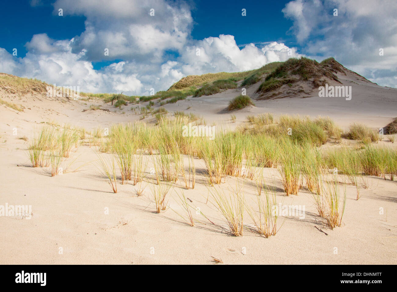 Leba dunes - UNESCO National Park. Famous place in Poland Stock Photo ...