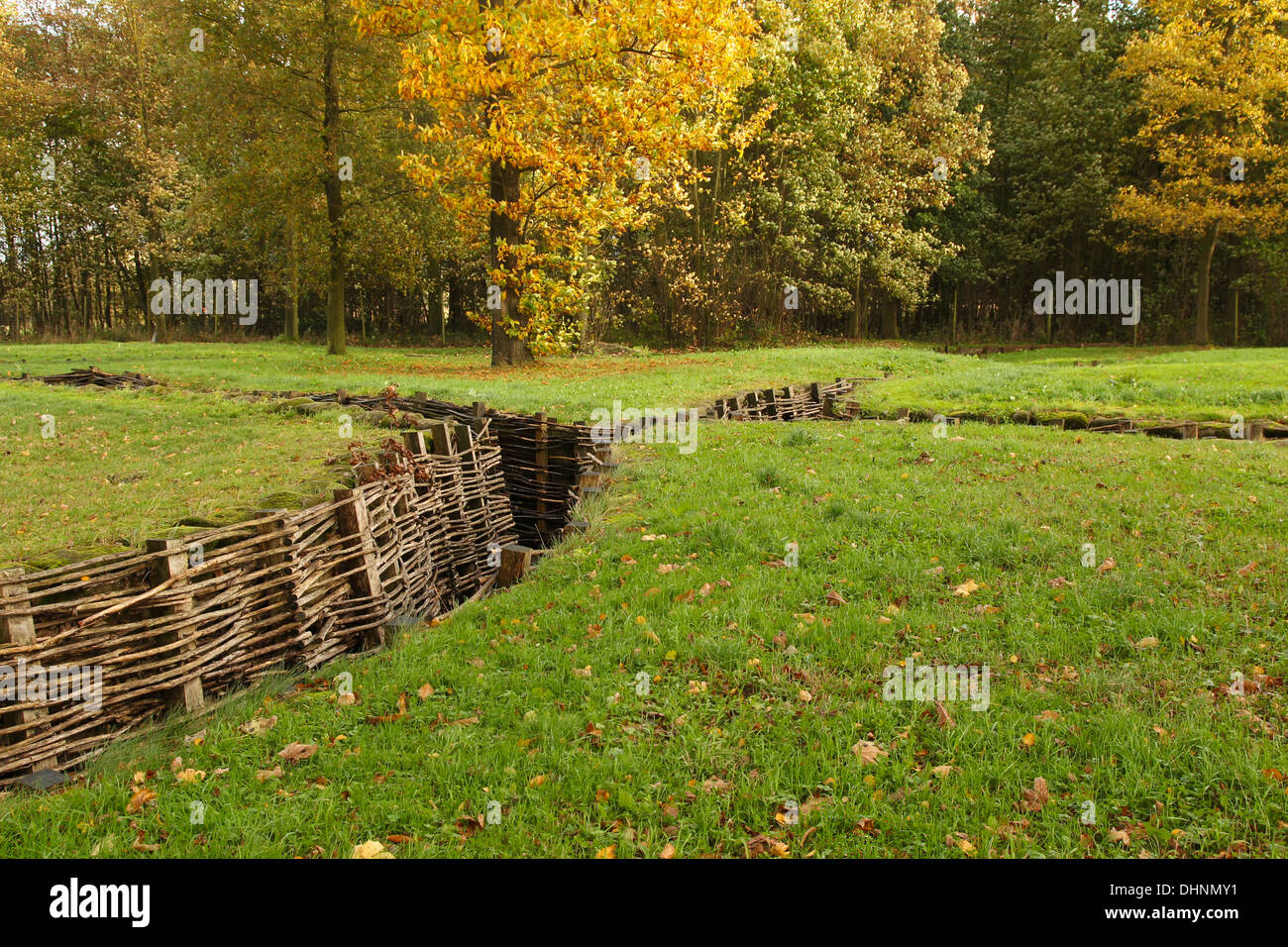 German trenches WWI - Bayernwald Stock Photo - Alamy