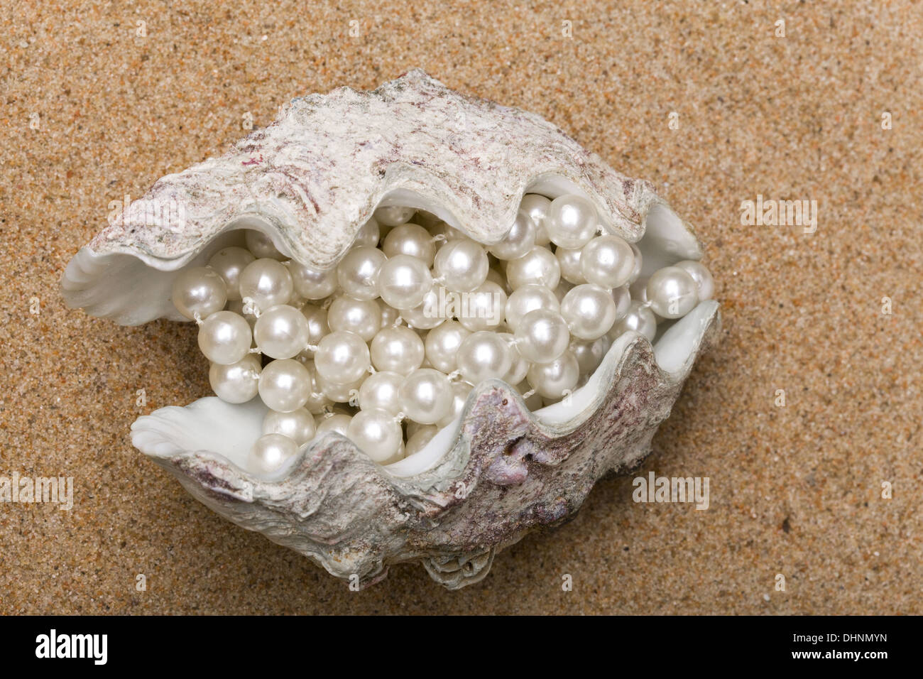 The shell with a pearl beads Stock Photo - Alamy