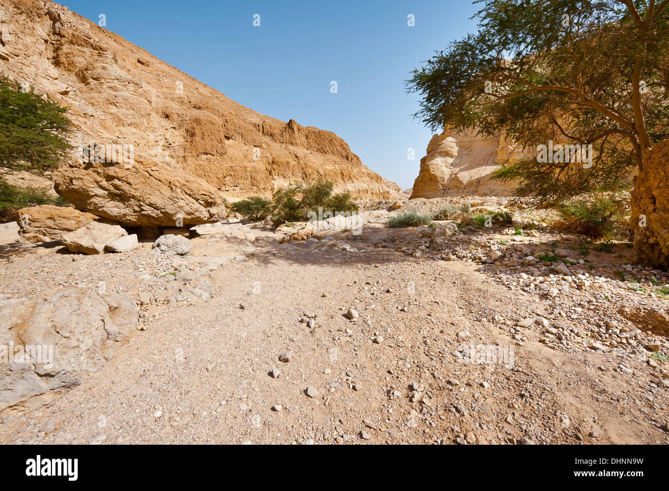 West ridge green hi-res stock photography and images - Alamy