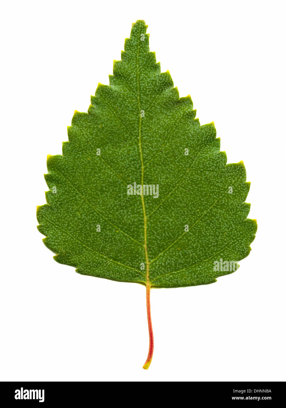 Seasontexture hi-res stock photography and images - Alamy