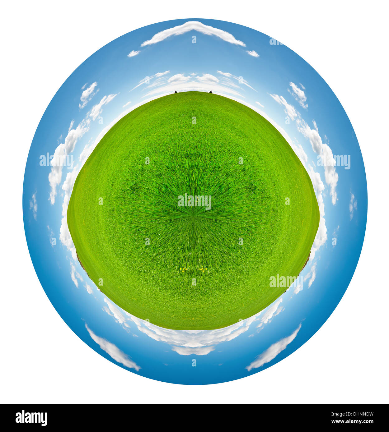 Spherical plant sky hi-res stock photography and images - Alamy