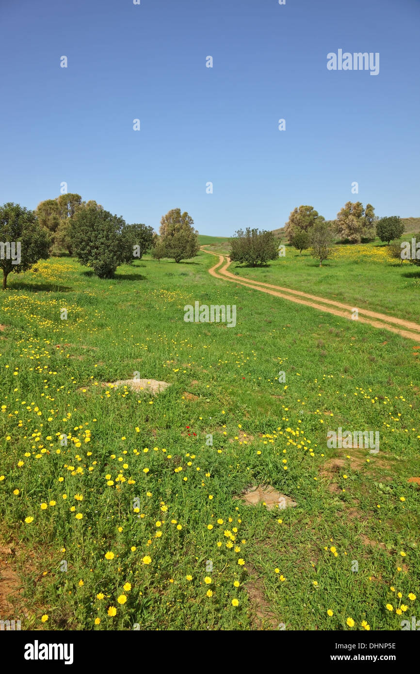 Rural footpath hi-res stock photography and images - Alamy