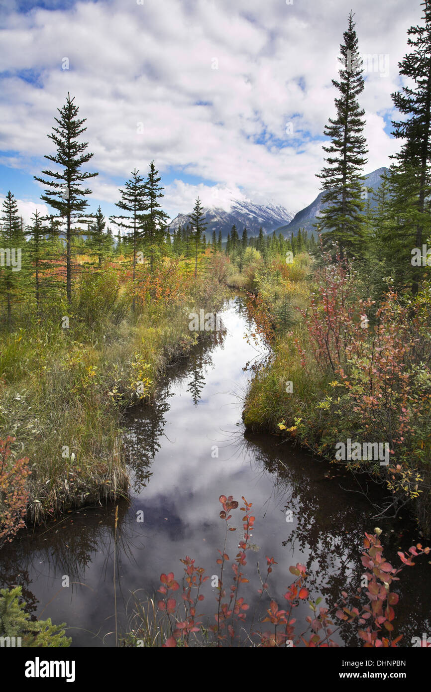 Cold season in canada hi-res stock photography and images - Alamy