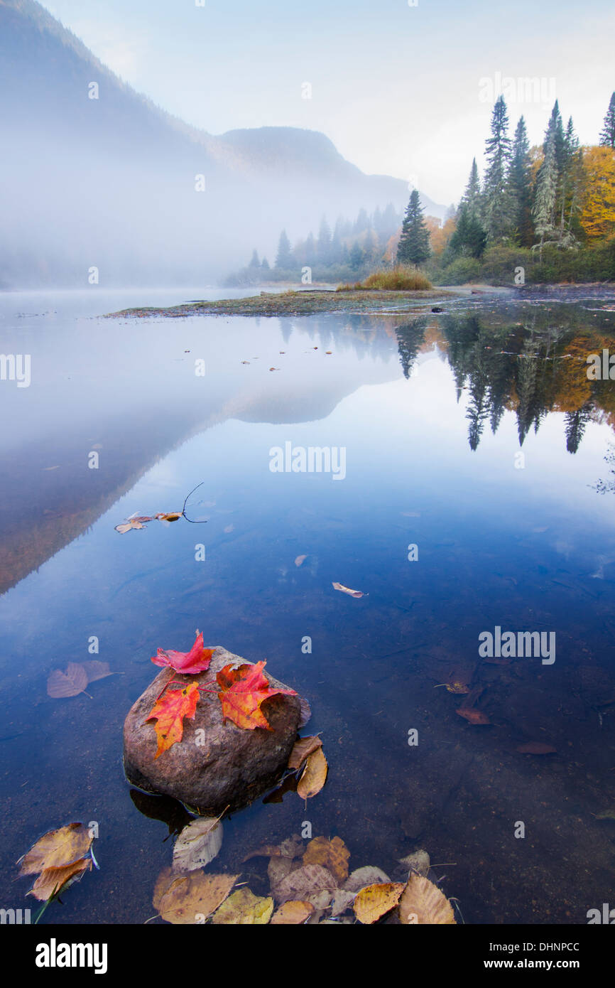 Canada maple autumn lake hi-res stock photography and images - Alamy