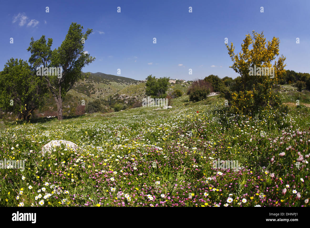Meron mountain hi-res stock photography and images - Alamy