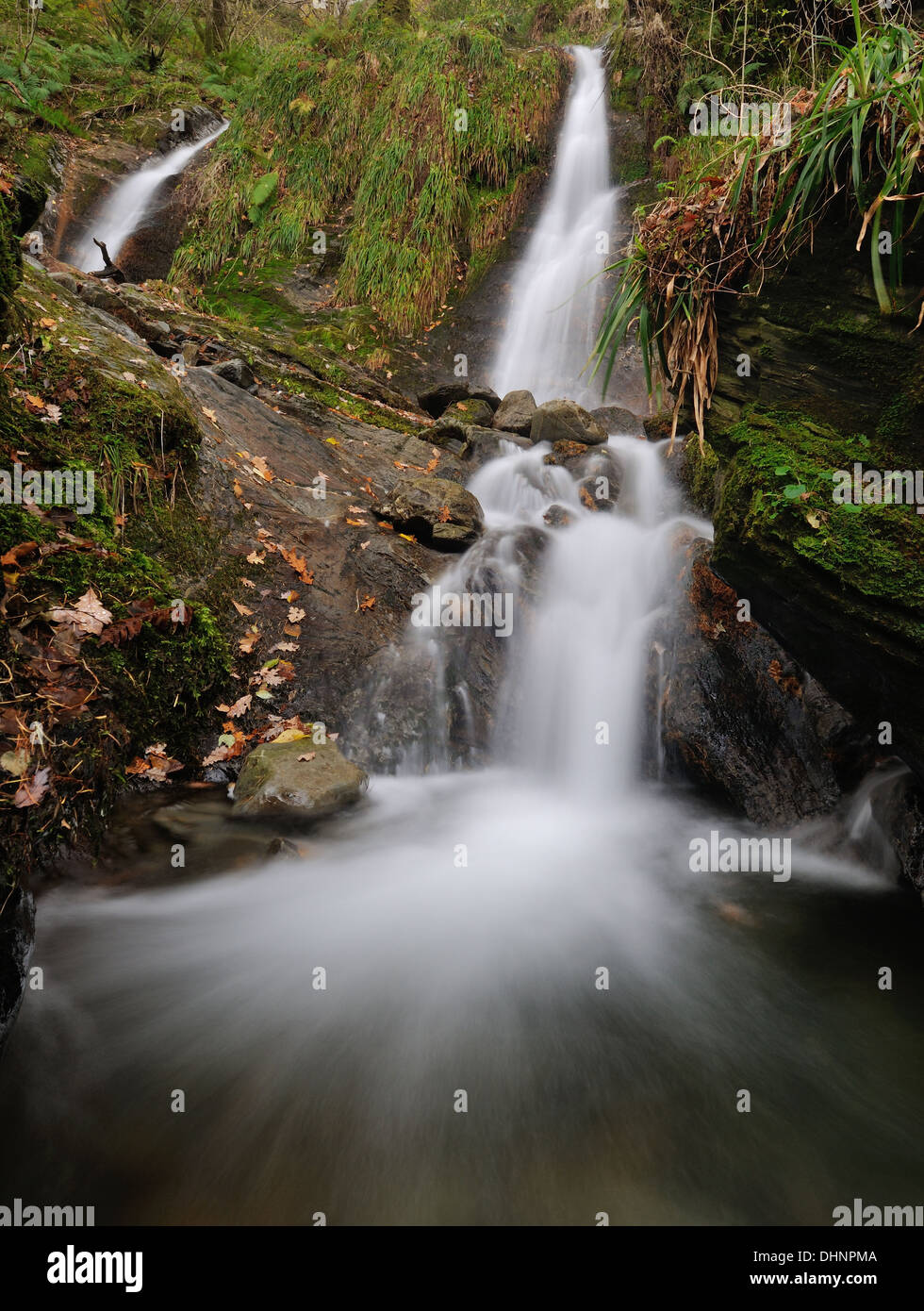 Holme Force waterfall, Holme Wood, near Loweswater, English Lake ...