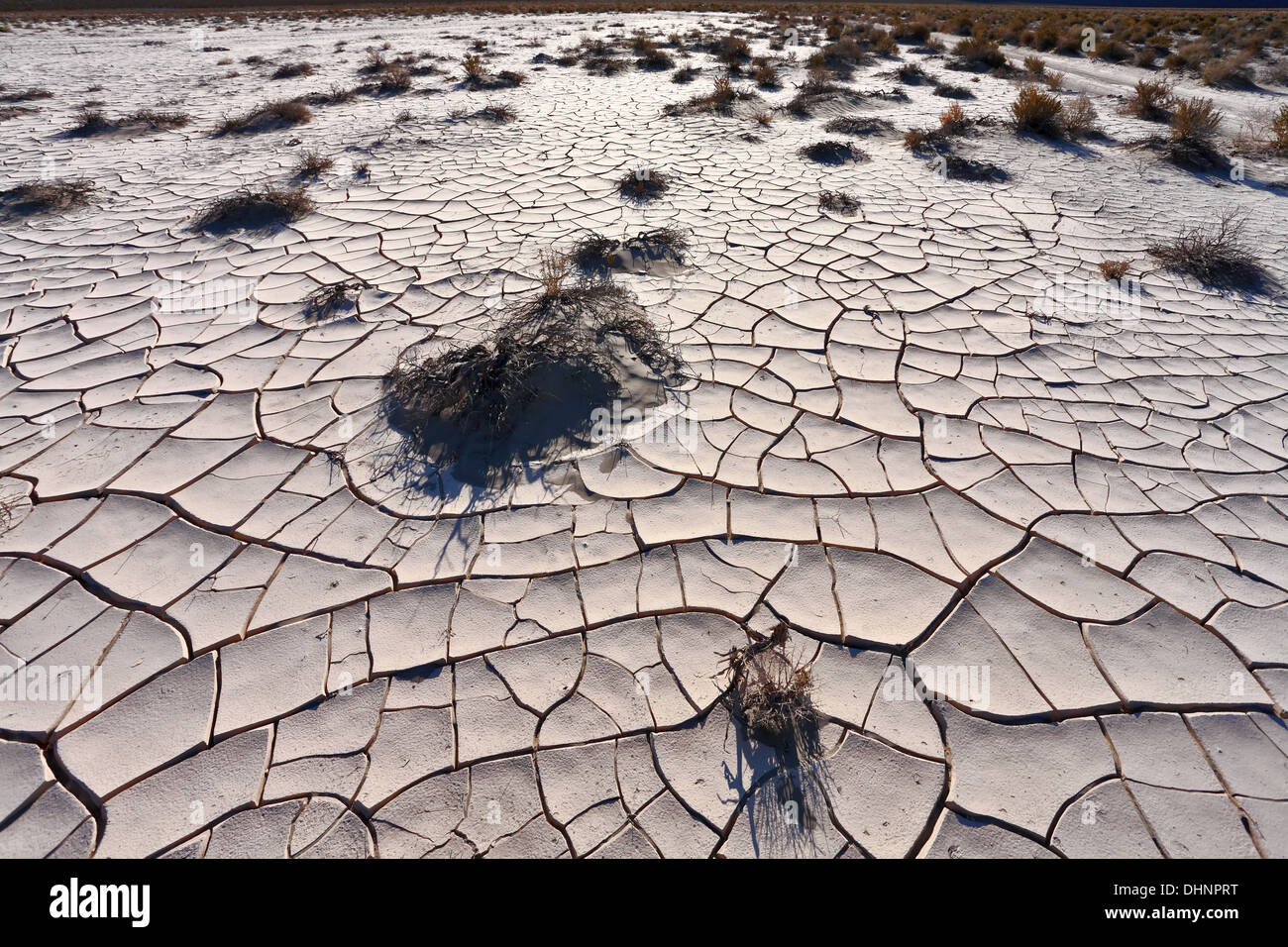 The cracked dry ground Stock Photo - Alamy