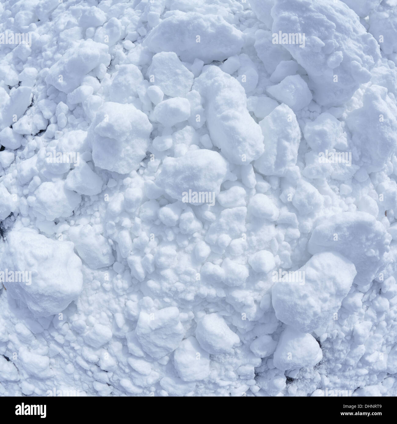 White snowballs hi-res stock photography and images - Alamy