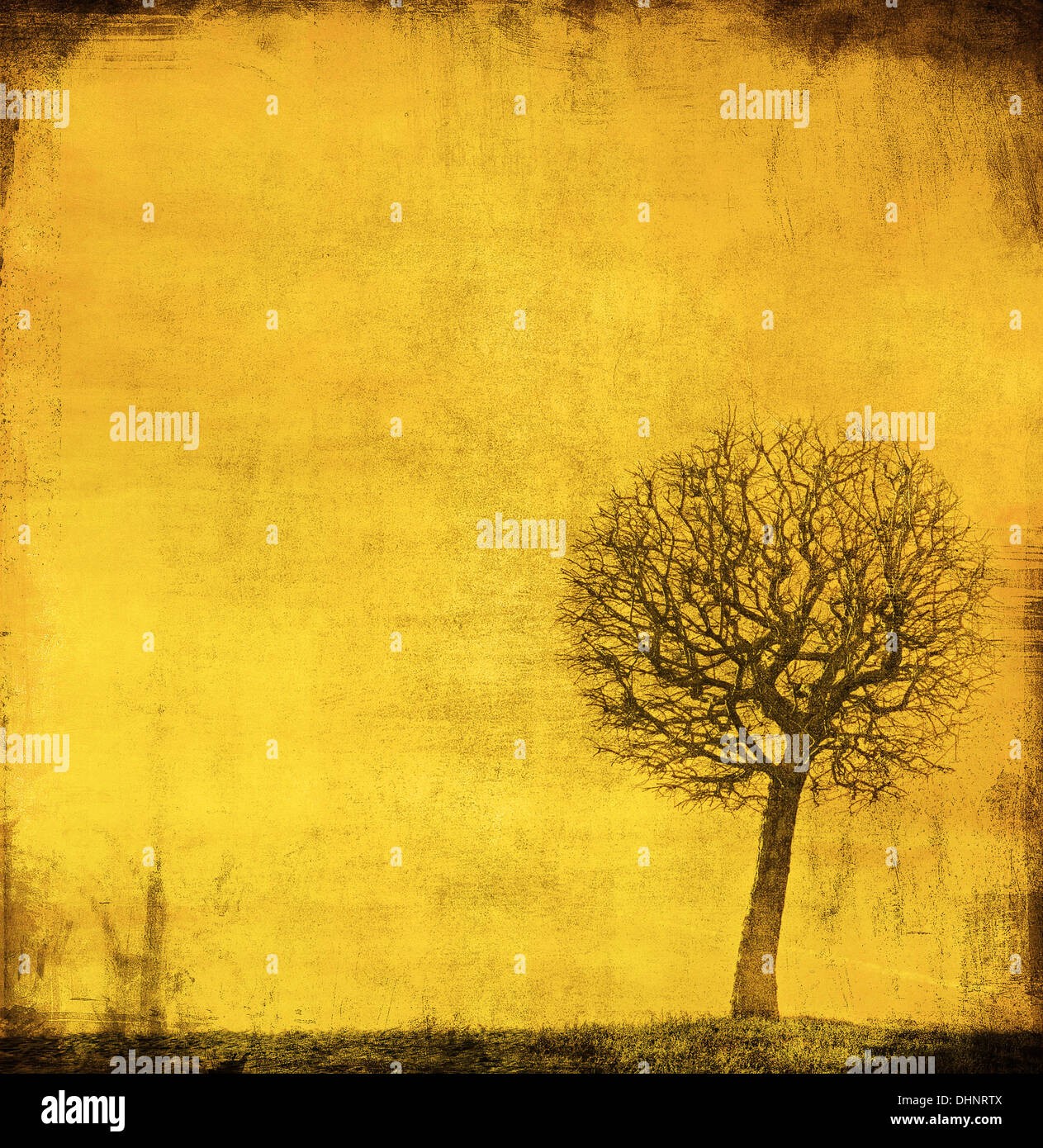 grunge image of a tree on a vintage paper Stock Photo - Alamy