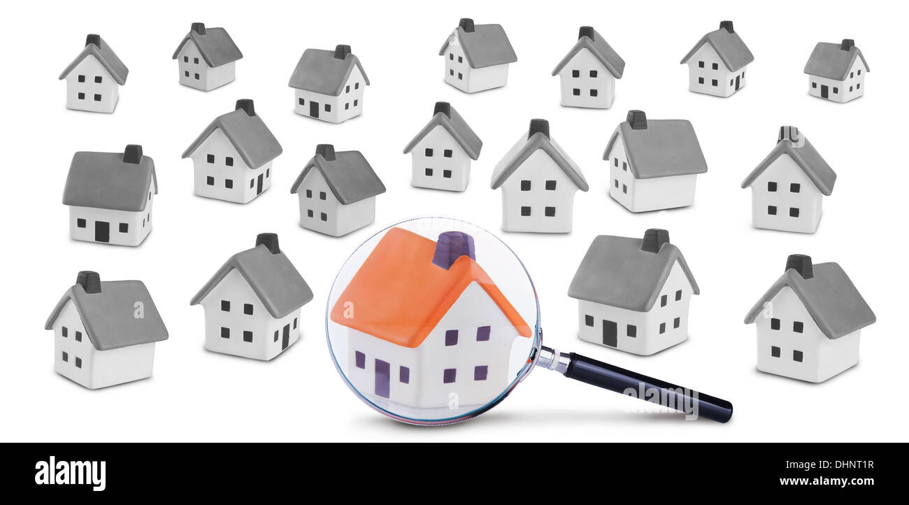 Conceptual image of the search and inspection of the house.Isolated on ...