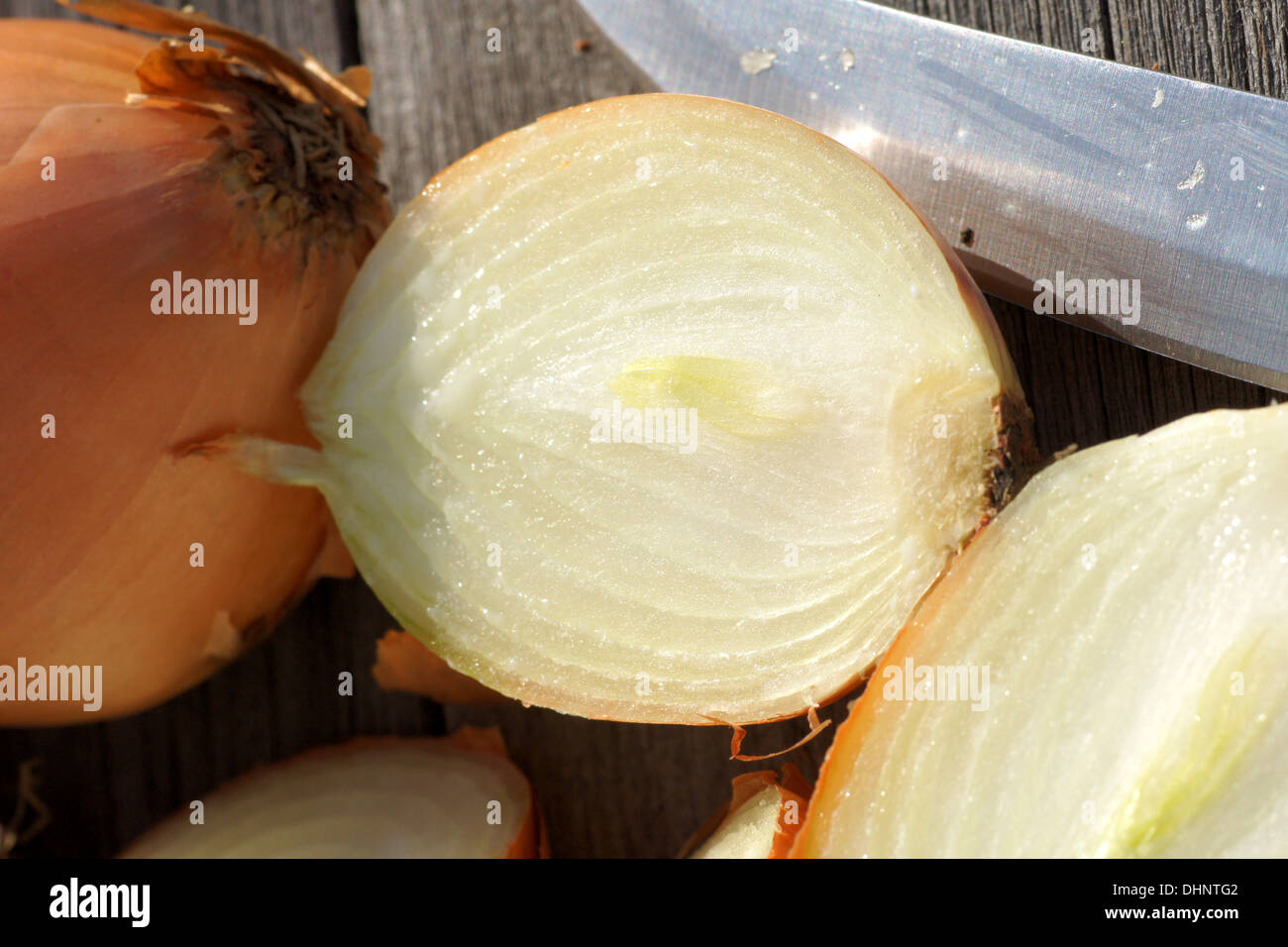 Of onions hi hi-res stock photography and images - Alamy