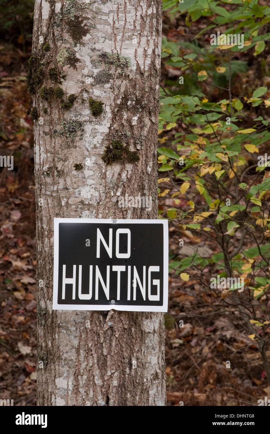No Hunting Sign Stock Photo - Alamy
