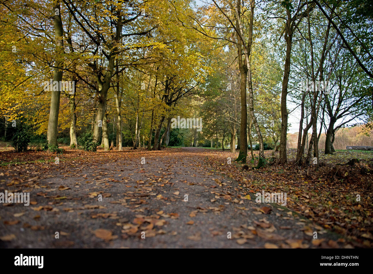 Tilgate Park, Crawley, West Sussex, England, Uk Stock Photo - Alamy