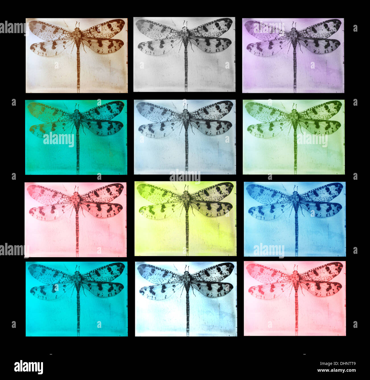 Brenton west hi-res stock photography and images - Alamy