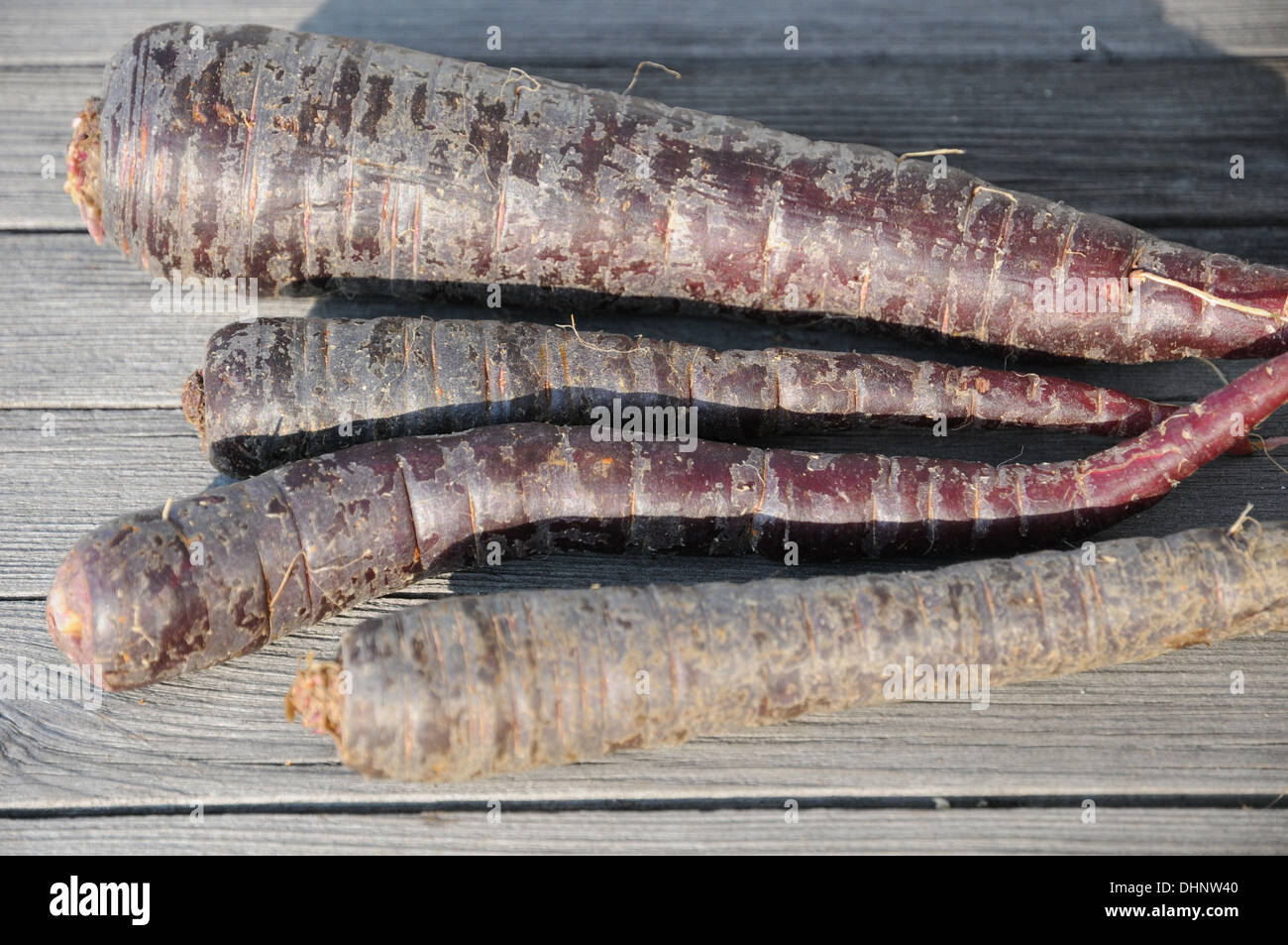 Blue carrots hi-res stock photography and images - Alamy