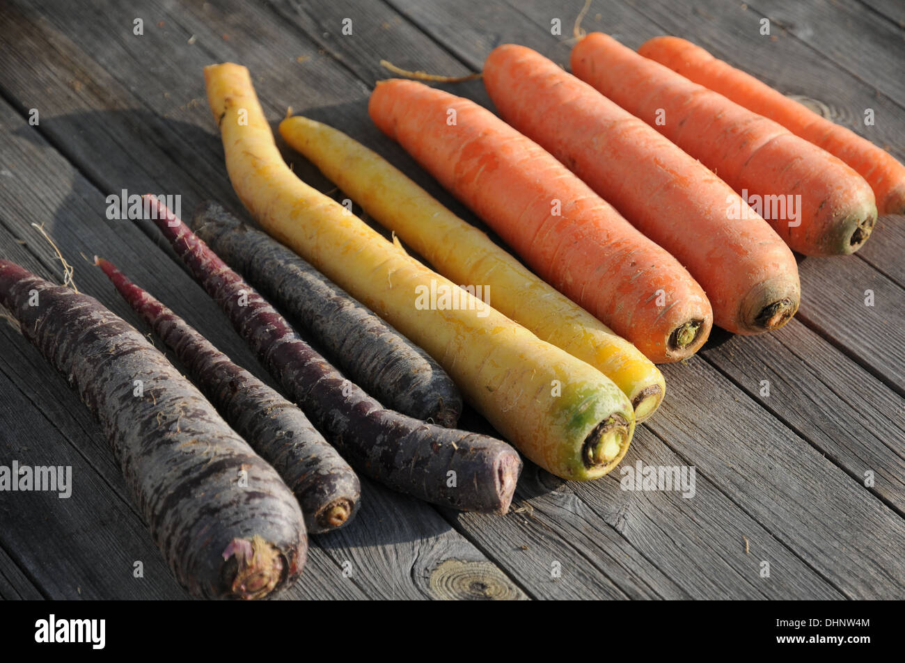 Bunte karotten hi-res stock photography and images - Alamy