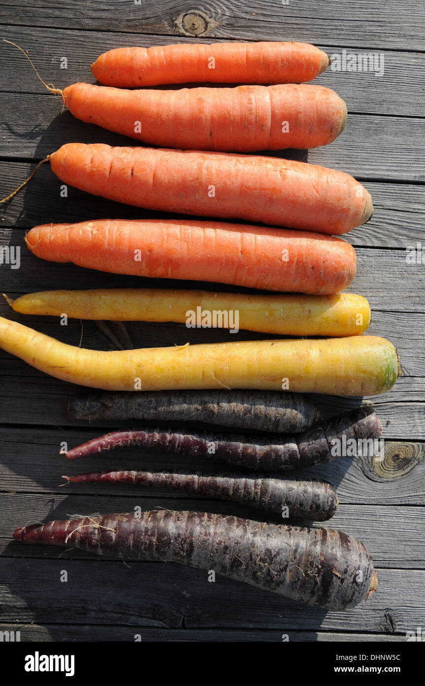 Bunte karotten hi-res stock photography and images - Alamy