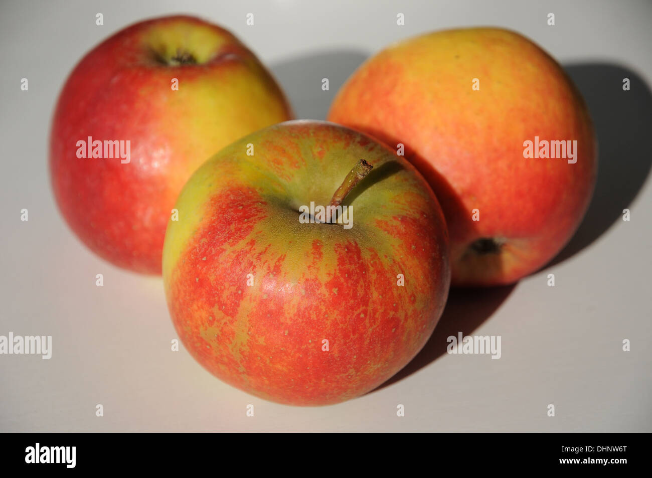 Elstar apples hi-res stock photography and images - Alamy