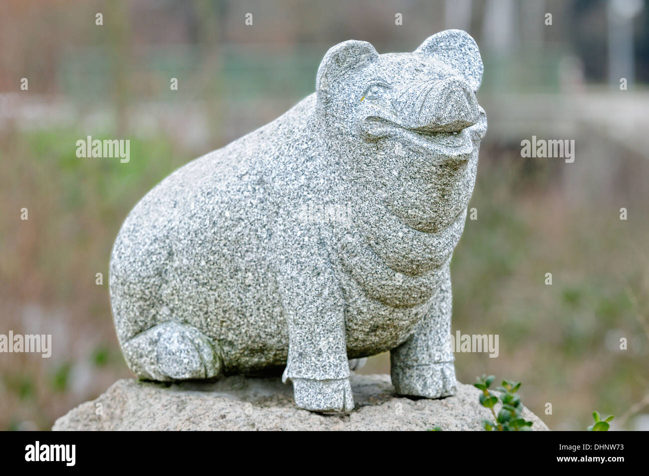 Pig husbandry horizontal hi-res stock photography and images - Alamy