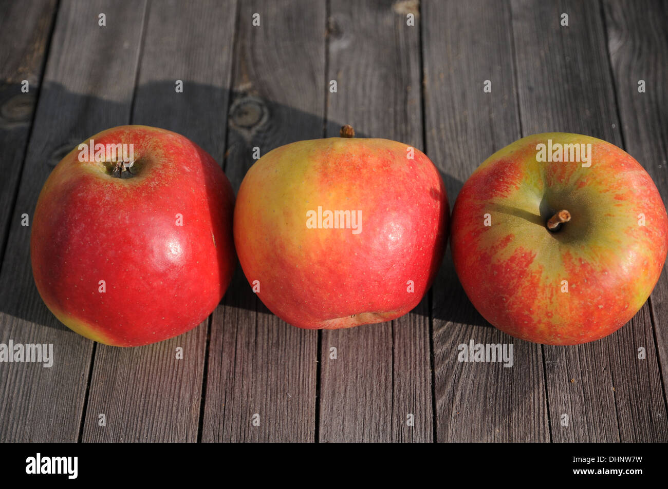 Elstar apples hi-res stock photography and images - Alamy