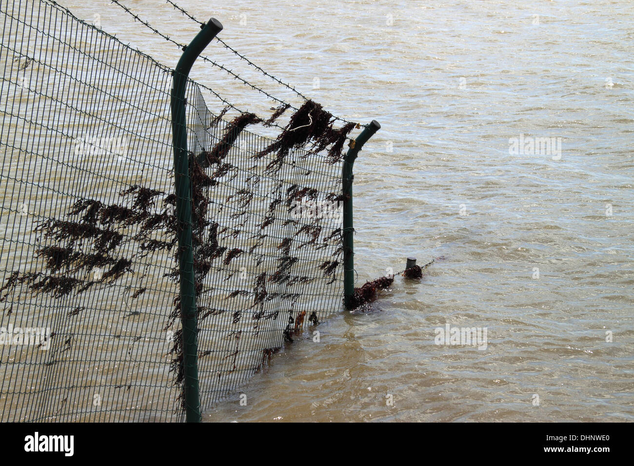Fence in the water Stock Photo - Alamy