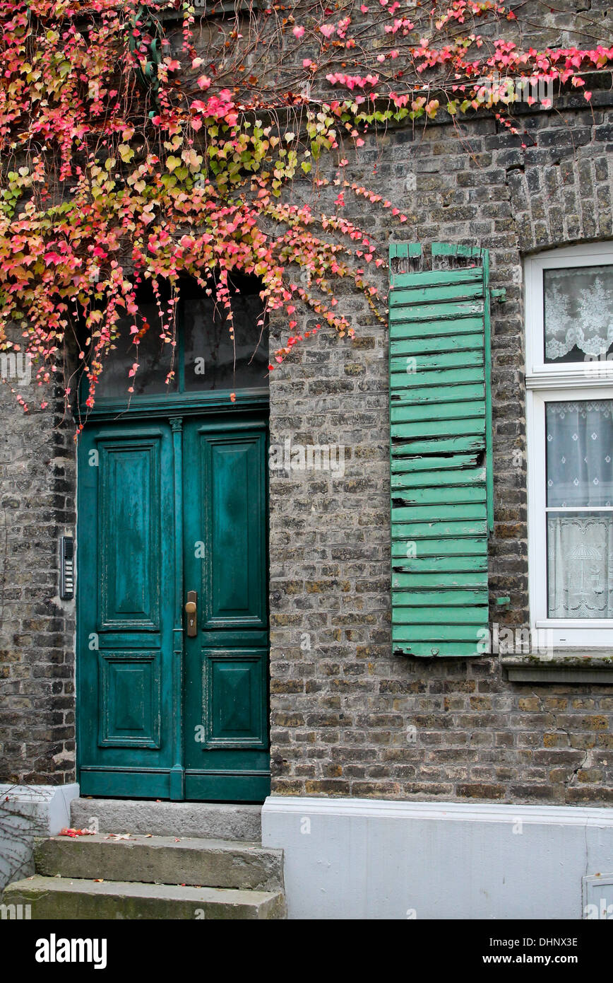 Bright Green Doors and Shutters with Fall Color Stock Photo - Alamy