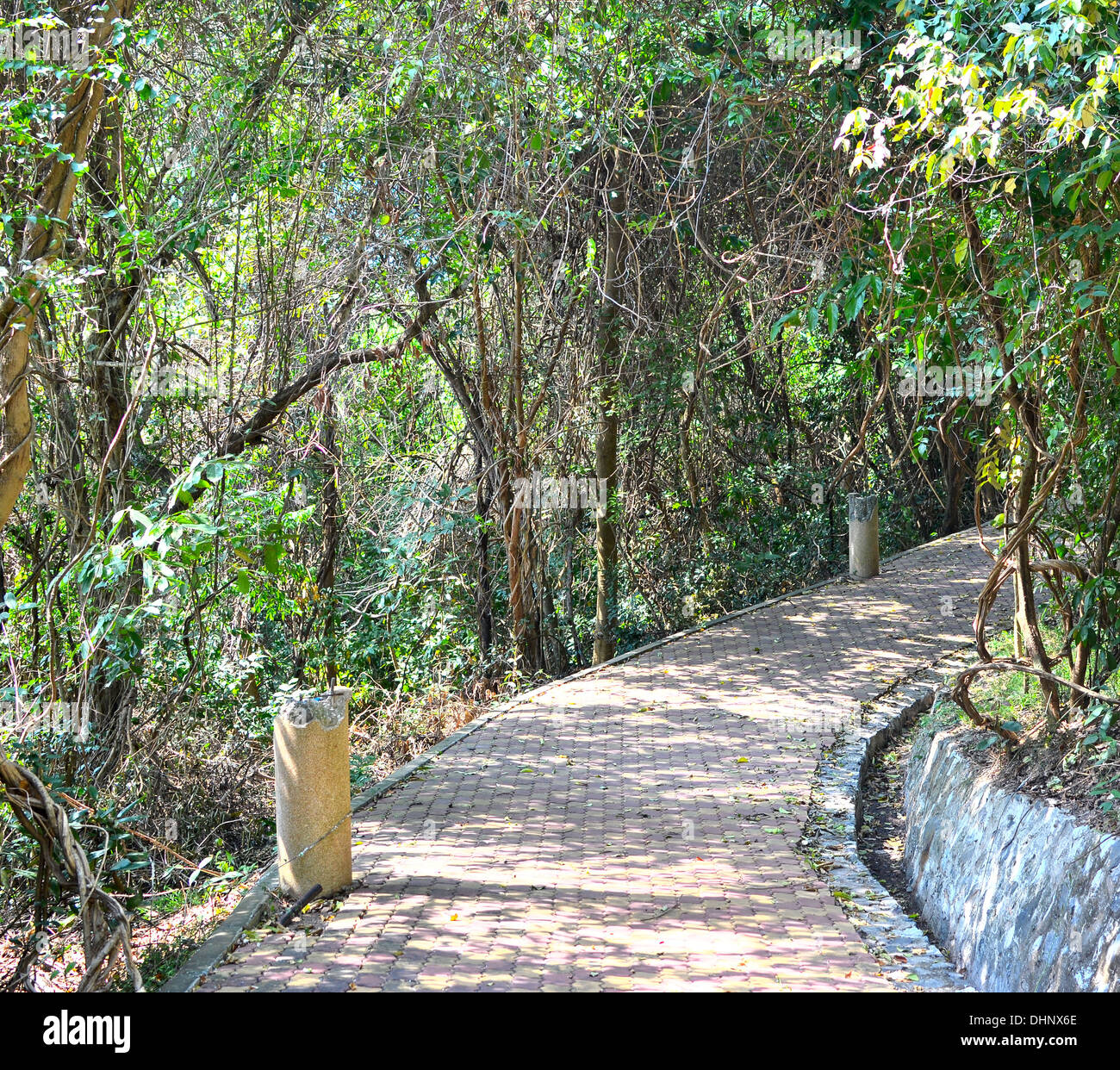 Pavement show hi-res stock photography and images - Alamy