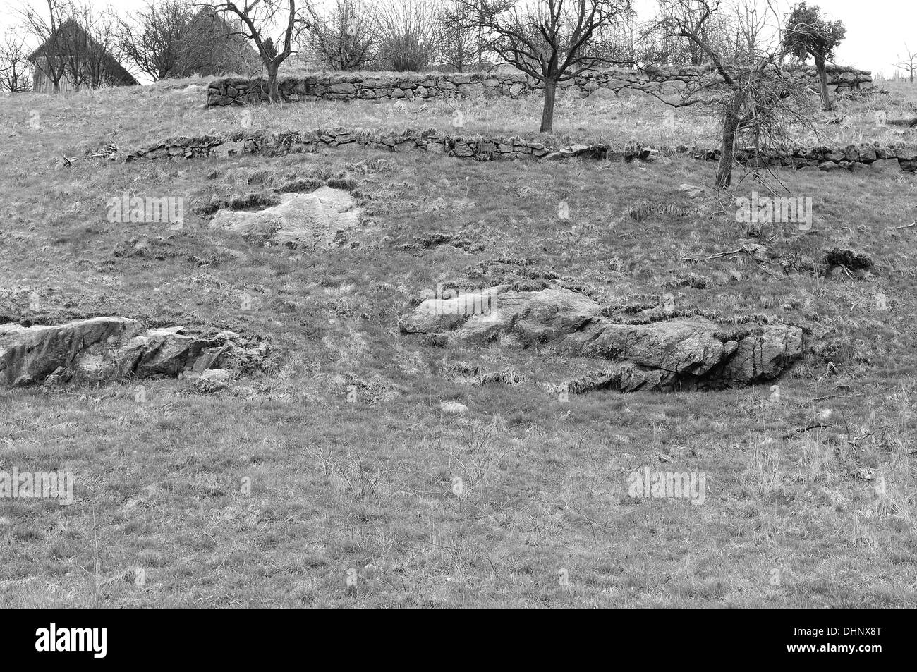 Landscape management Black and White Stock Photos & Images - Alamy