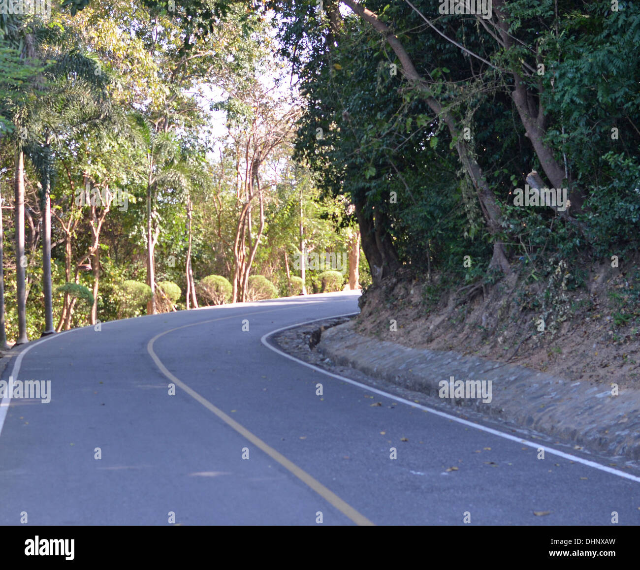Long jungle grass hi-res stock photography and images - Alamy