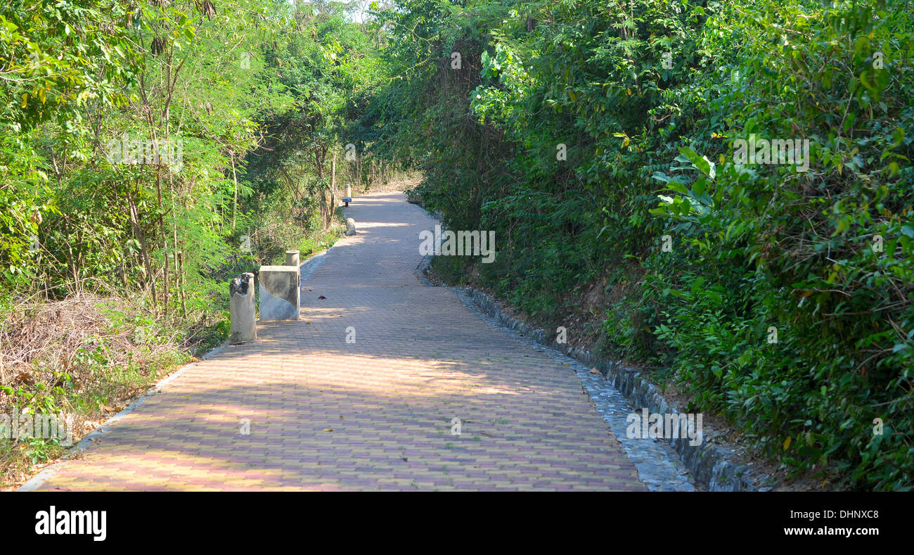 Pavement show hi-res stock photography and images - Alamy