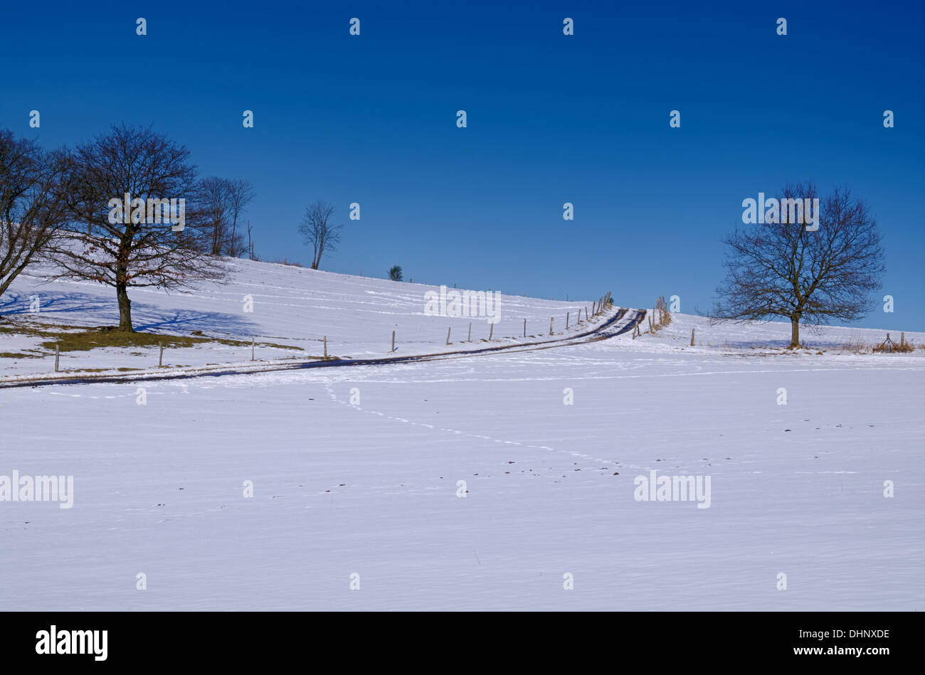 Winterworld hi-res stock photography and images - Alamy