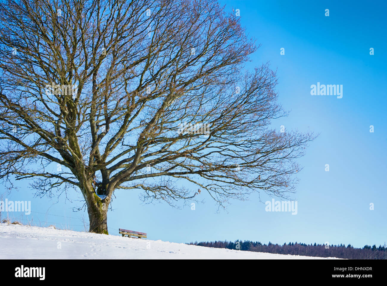 Winterworld hi-res stock photography and images - Alamy
